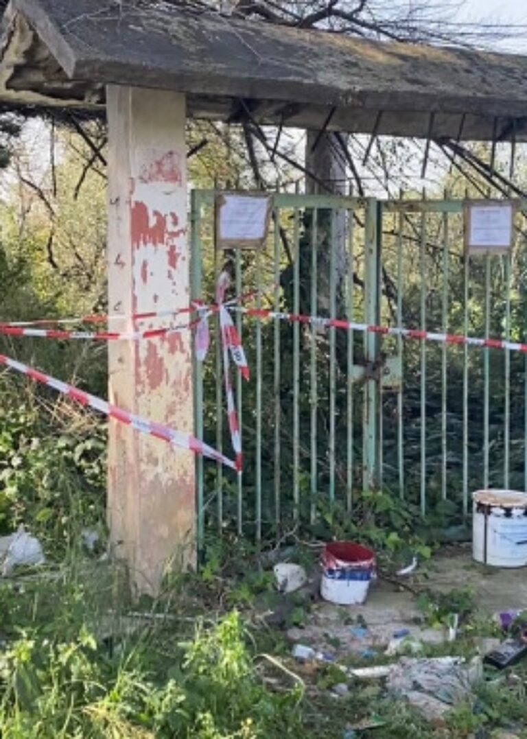 Chi l'ha visto?, le anticipazioni di stasera 2 novembre 2022